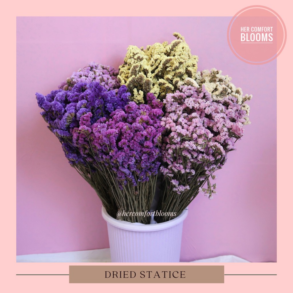 Dried Flower (Dried Statice) for Flower arrangements, Home decor ...