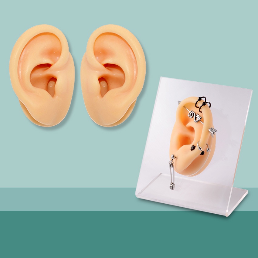 Jewelry Ear Stud Display Silicone Ear Model Practice Piercing Tools ...