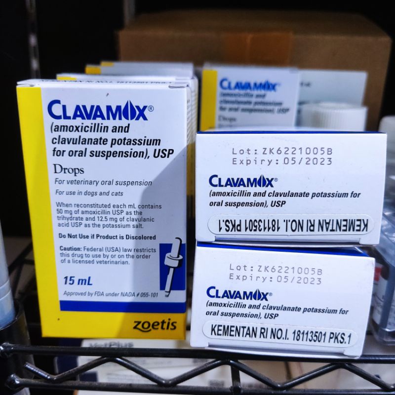 Clavamox - Antibiotic Cat Dog ED 09/2024 | Shopee Philippines