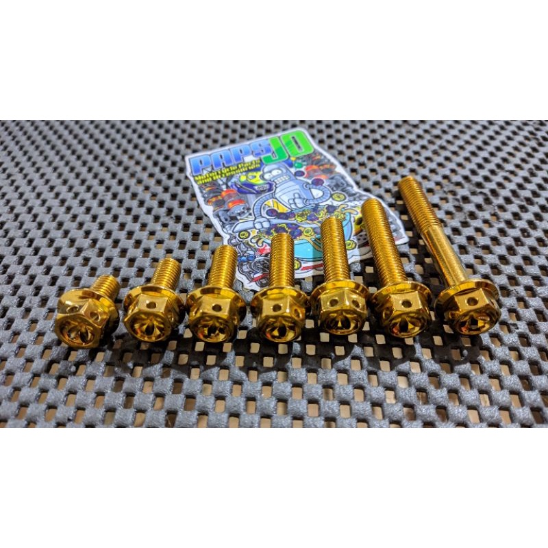 HENG BOLT GOLD FLOWER TYPE FINE THREAD M8 (8x15, 8x20, 8x25, 8x30, 8x35 ... HENG BOLT GOLD FLOWER TYPE FINE THREAD M8 (8x15, 8x20, 8x25, 8x30, 8x35 ...