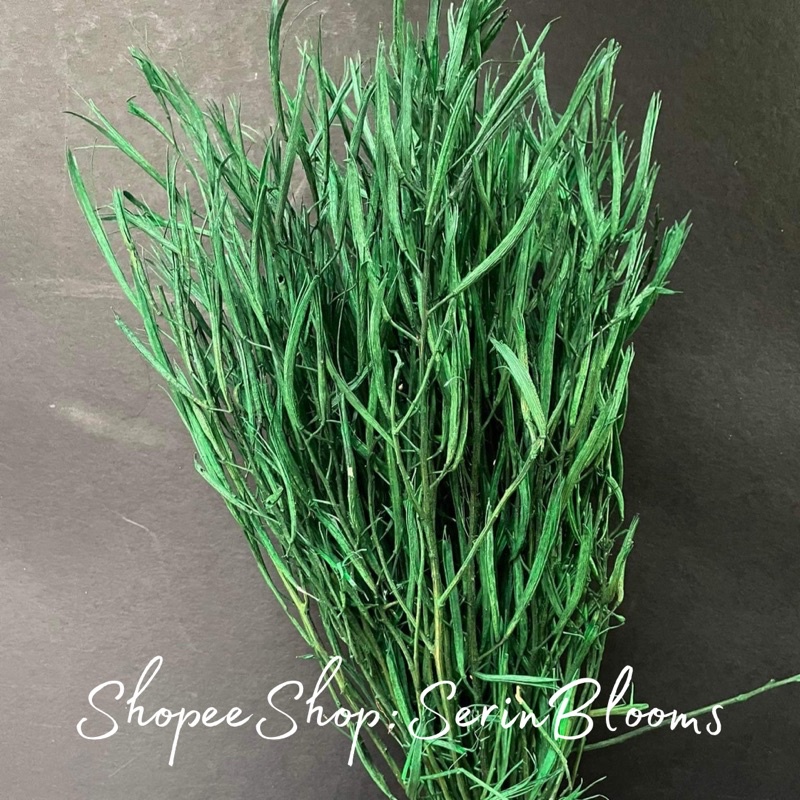 Local Dried Twigs sold per bundle | Shopee Philippines