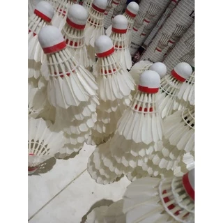 rsl shuttlecock - Best Prices and Online Promos - Jul 2024 | Shopee ...