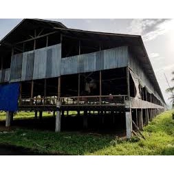 Resigen EC Bayer Permethrin Fogging Solution for Mosquito Control and ...