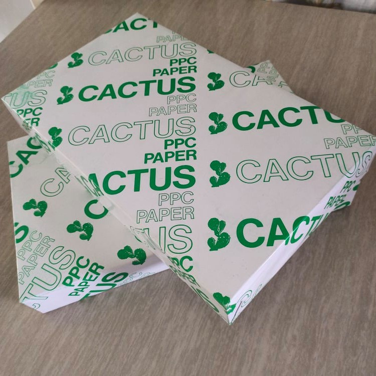 Bond Paper | 1 Ream | Short, Long | Cactus, Smart Copy, Hard Copy ...