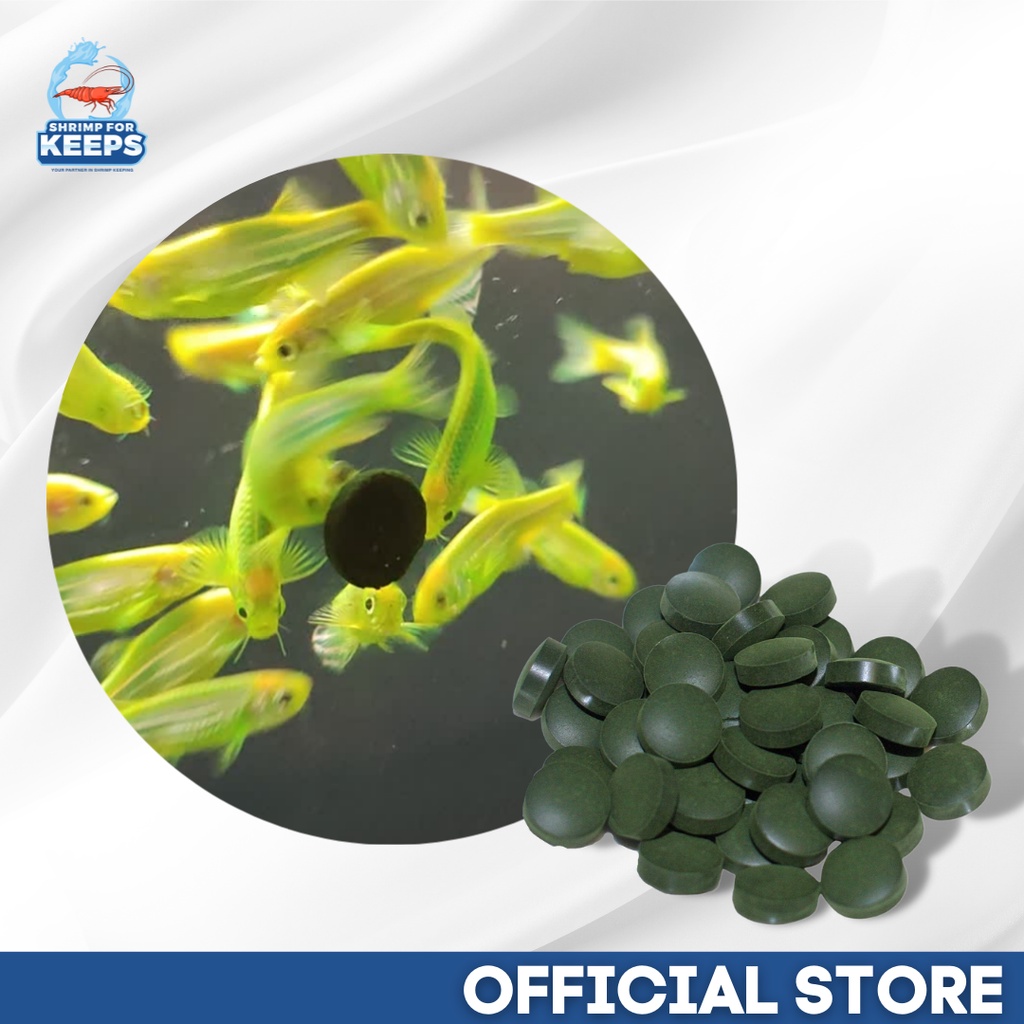 Sticky Spirulina Tablet for Fish - Algae food pellet for all types of ...