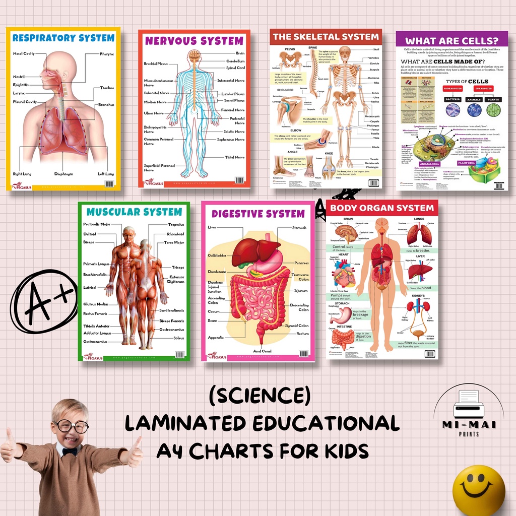 Minimalist Laminated Educational A4 CHART (SCIENCE ) / MI-MAI PRINTS ...