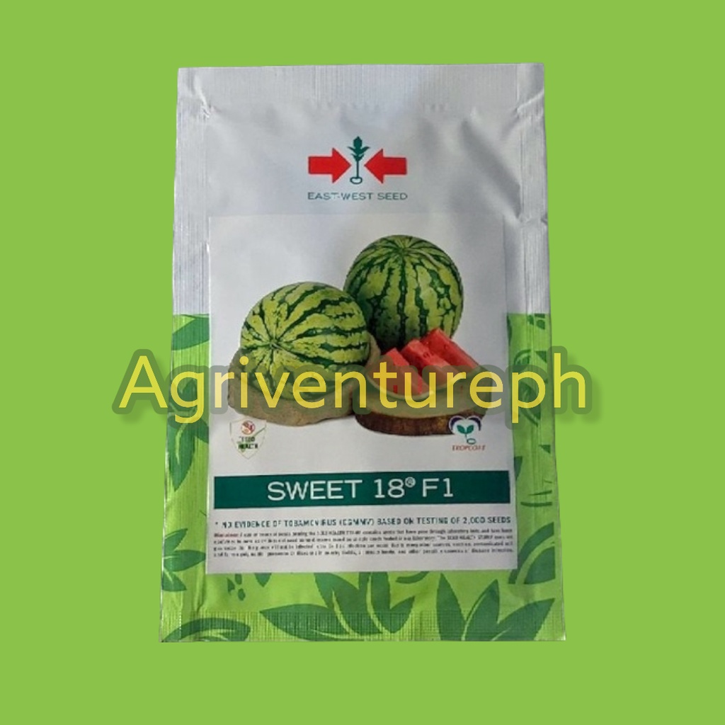 SWEET 18 F1 HYBRID WATERMELON 120 SEEDS OR ASENSO PACK (EAST WEST ...