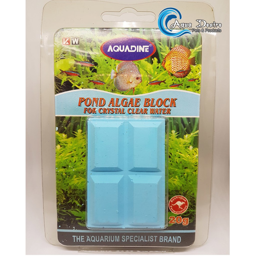 Aquadine Pond Algae Block | Shopee Philippines