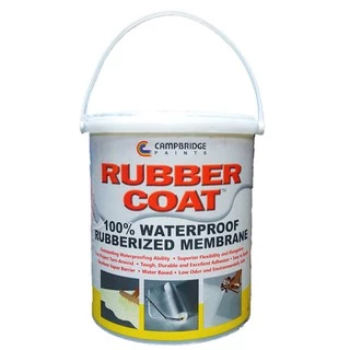 rubberized paint - Best Prices and Online Promos - Dec 2025 | Shopee ...