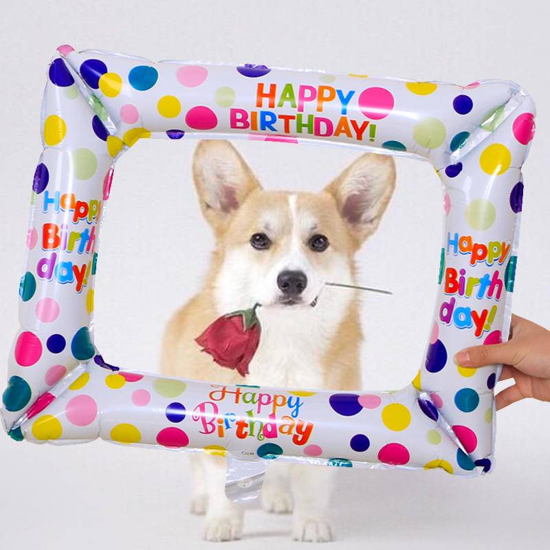 ins Style Influencer Birthday Photo Frame Aluminum Film Balloon Picnic ...