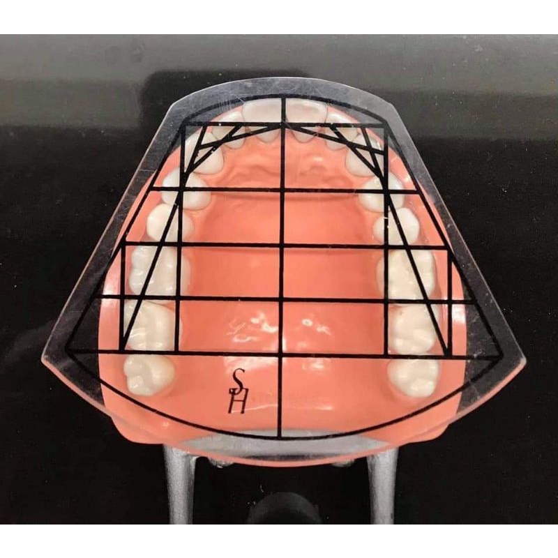 guide plate teeth arrangement on denture work Dental | Shopee Philippines