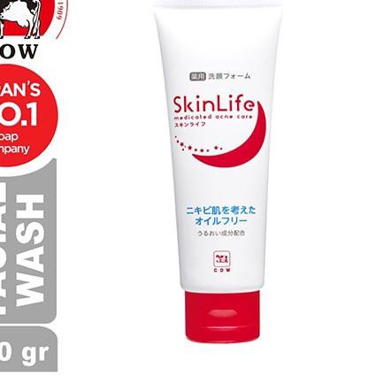 Skinlife Facial Foam Tube 110g | Shopee Philippines