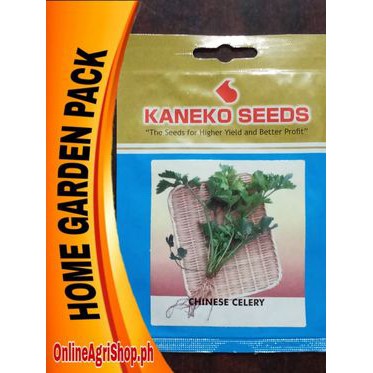 KINCHAY CHINESE CELERY SEEDS (2 GRAMS) BY KANEKO SEEDS | Shopee Philippines