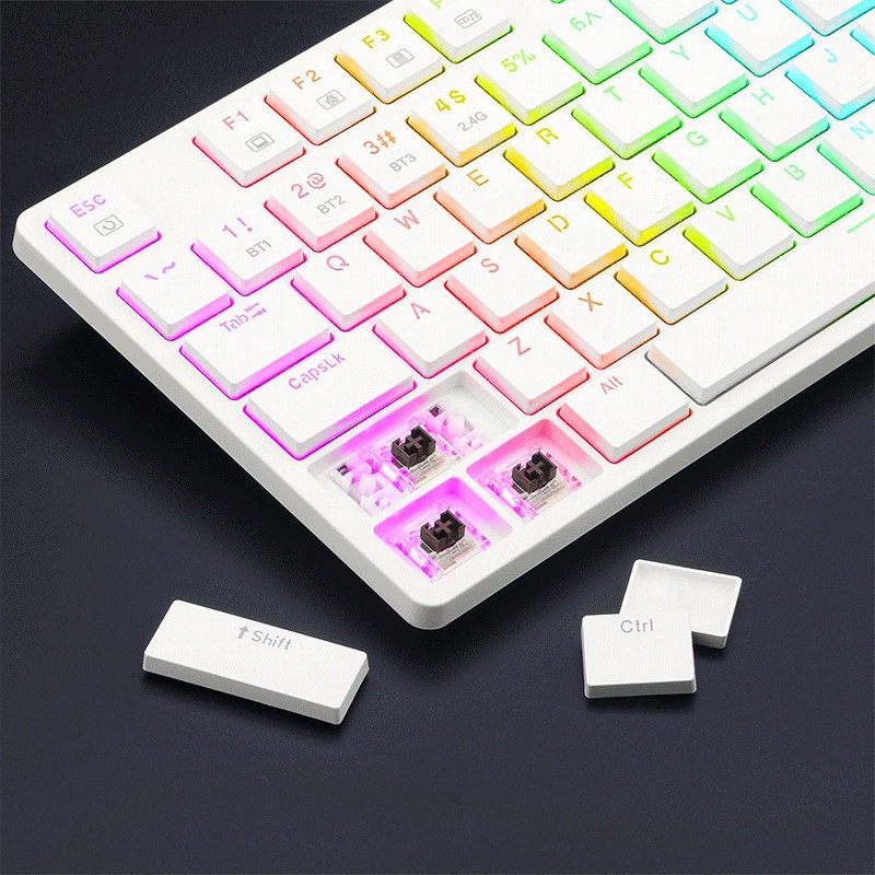 Redragon Anubis Tri Mode RGB 87 Keys Mechanical Gaming Keyboard White ...