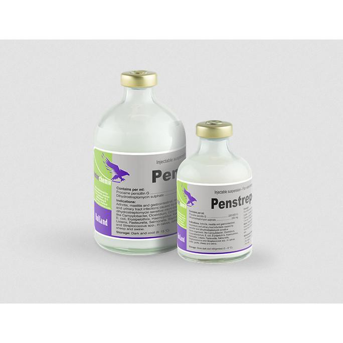 Antibiotic Respirator And Animal Digestion (PENSTREP 400 100ml ...