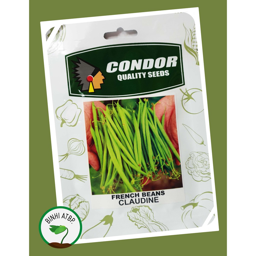 Condor French Bean Claudine Seeds (5 Gr Pack) | Shopee Philippines
