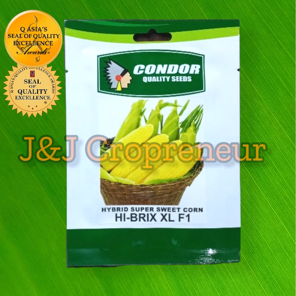 HI-BRIX XL F1 HYBRID SUPER SWEET CORN 10 GRAMS (CONDOR SEEDS) | Shopee ...