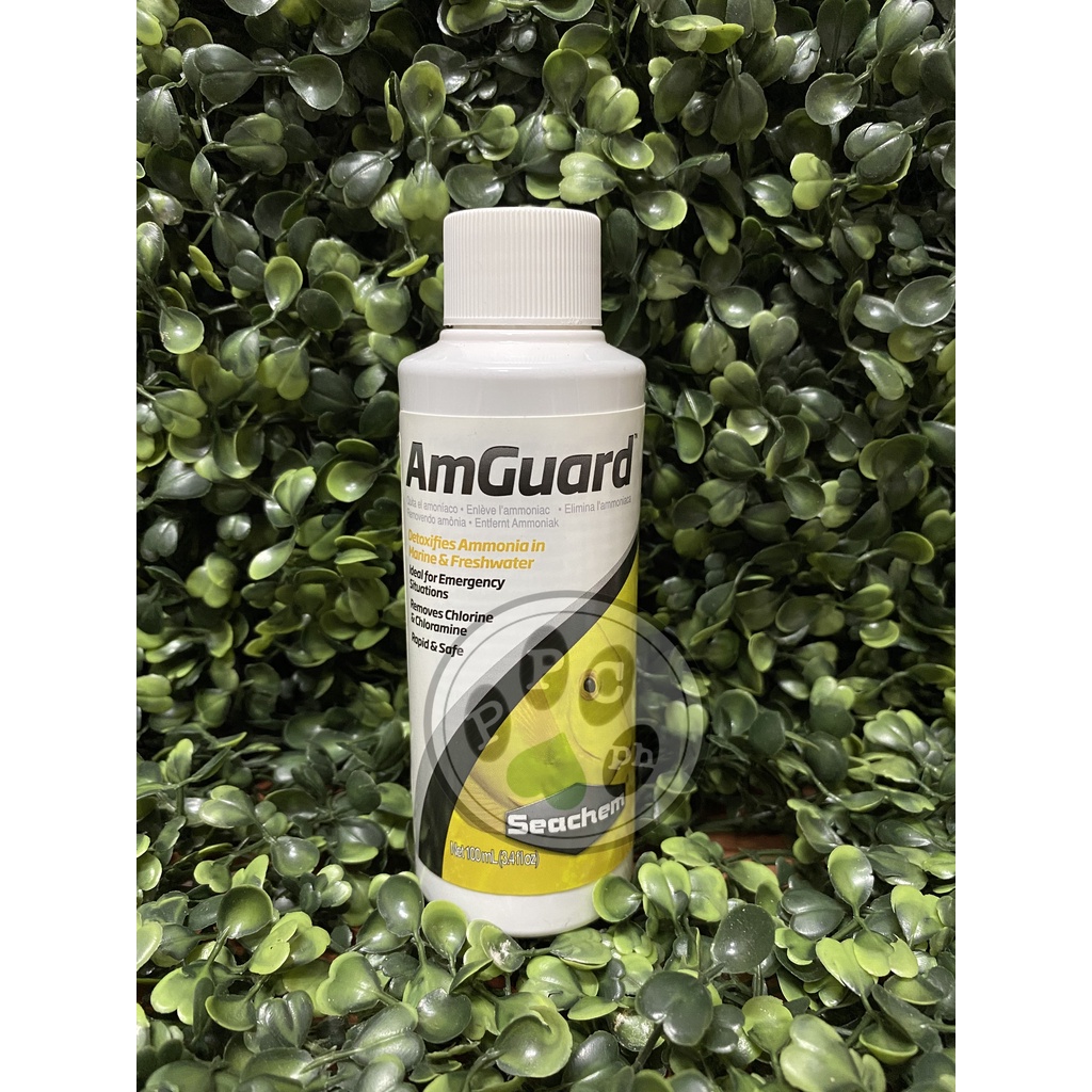 Seachem Liquid Amguard 100ml Detoxifies Ammonia In Freshwater or Marine ...