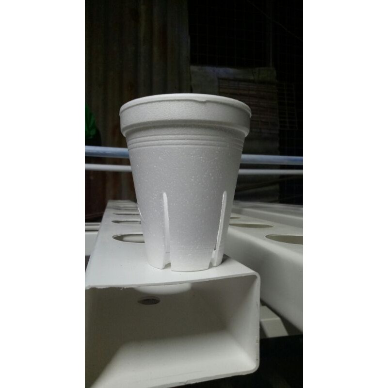 styro cup 8oz with holes for hydroponics 25pcs | Shopee Philippines