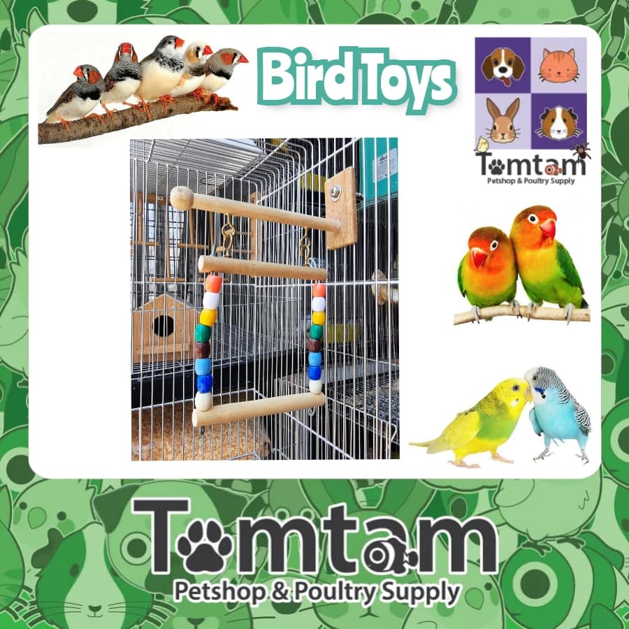 Parrot Lovebirds Wooden Dual Purpose Bird Toys Perch and Colorful Swing ...