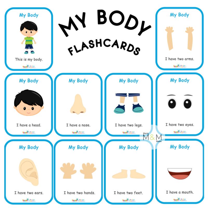 MY BODY Laminated Flashcards | 10 PCS | Parts Of The Body Teaching ...
