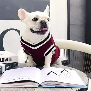 Pet Clothes Sweater Style Striped V-Neck Soft Breathable College ...