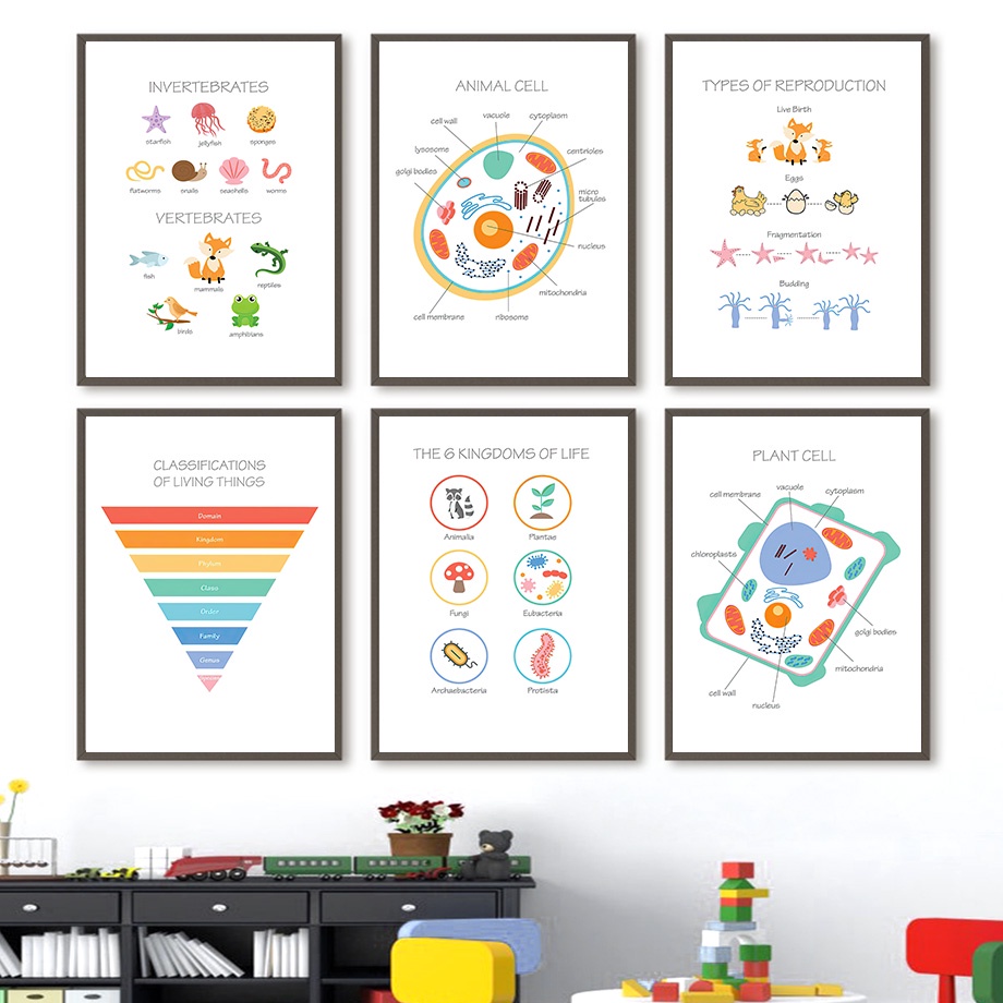 Animal Plant Cell Eubacteria Fungi Protista Wall Art Canvas Painting ...