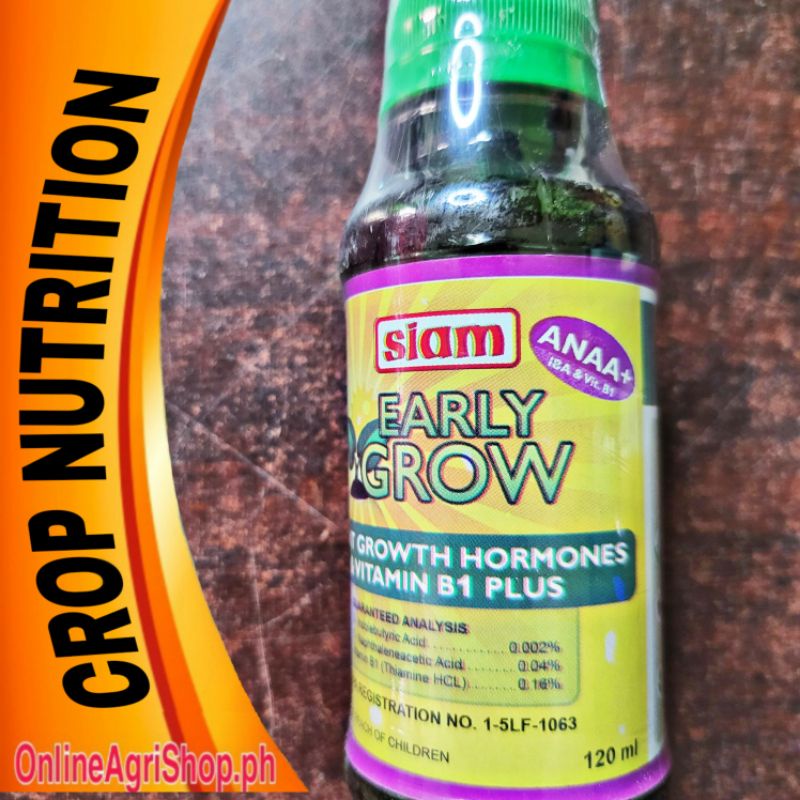 SIAM EARLY GROW root grower (120 mL) ATFORMIC | Shopee Philippines