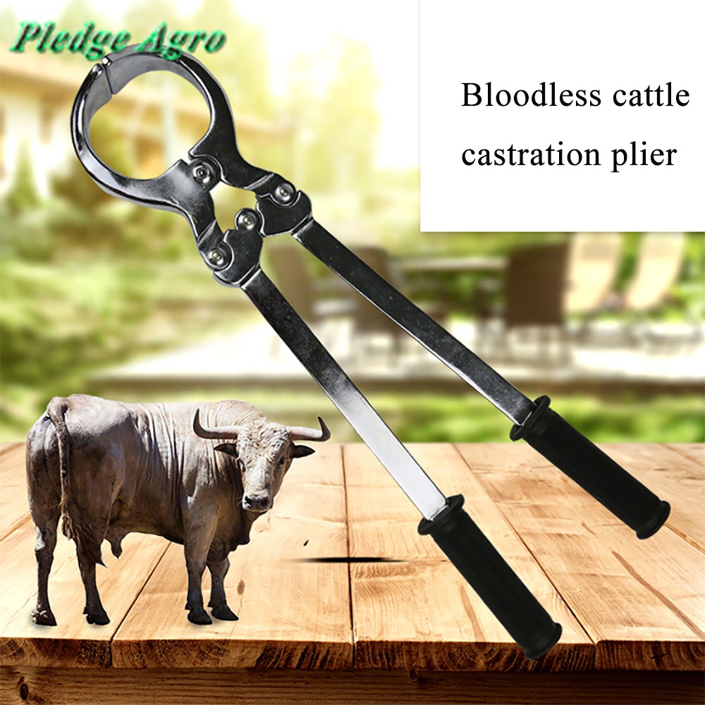 Burdizzo castrator cattle castration knife pliers tool device ...