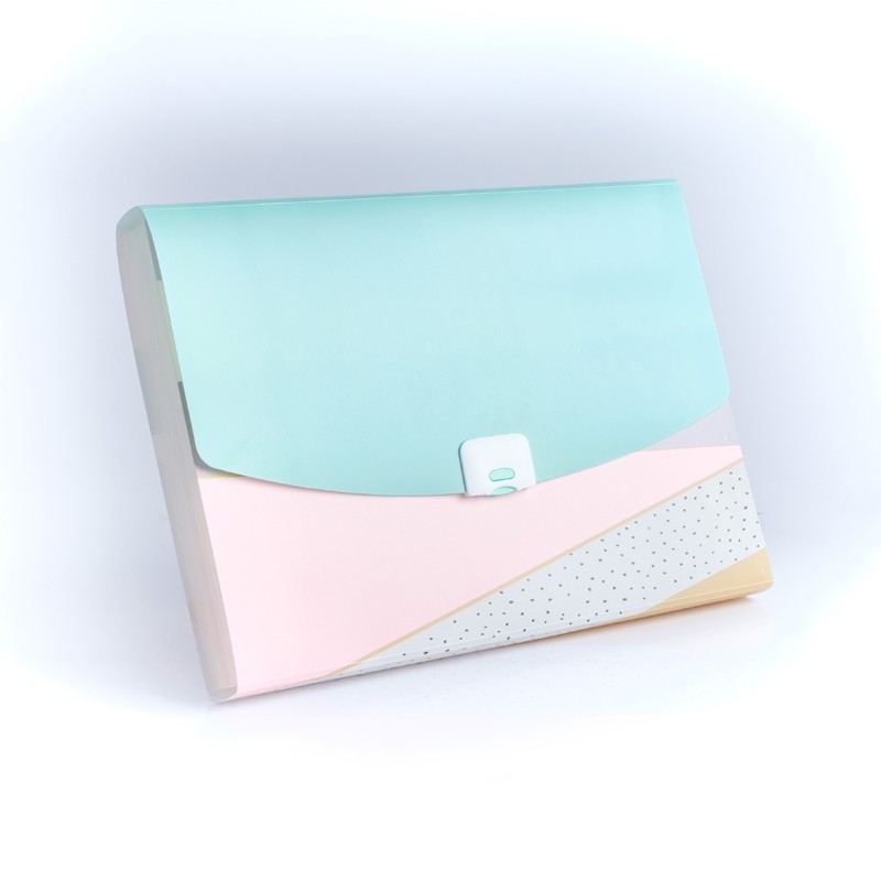 Evo Expanding File - Mixed Pastel FC (Long) | Shopee Philippines