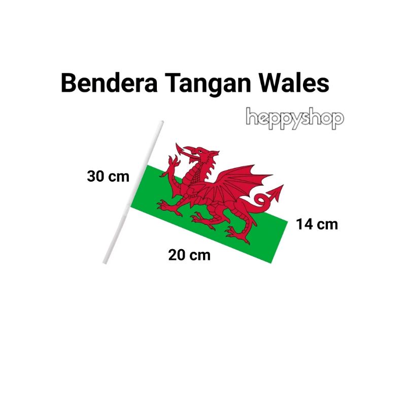 Wales National Parade Hand Stick Flag | Shopee Philippines