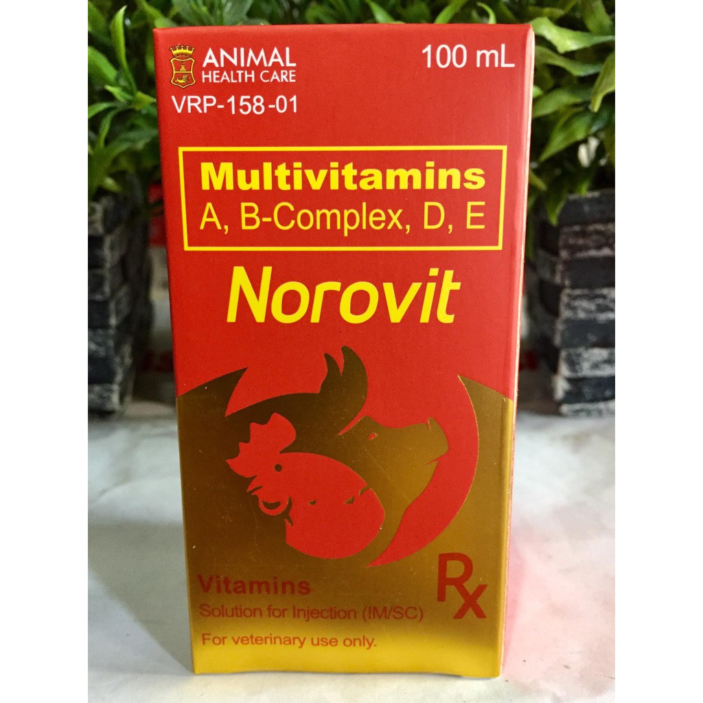Norovit Multivitamins A, B-Complex, D, E(100ml) | Shopee Philippines Norovit Multivitamins A, B-Complex, D, E(100ml) | Shopee Philippines