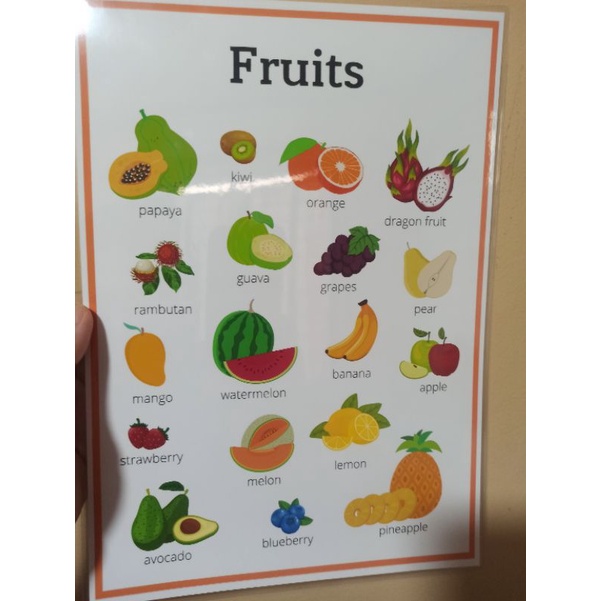 laminated minimalist educational charts | Shopee Philippines