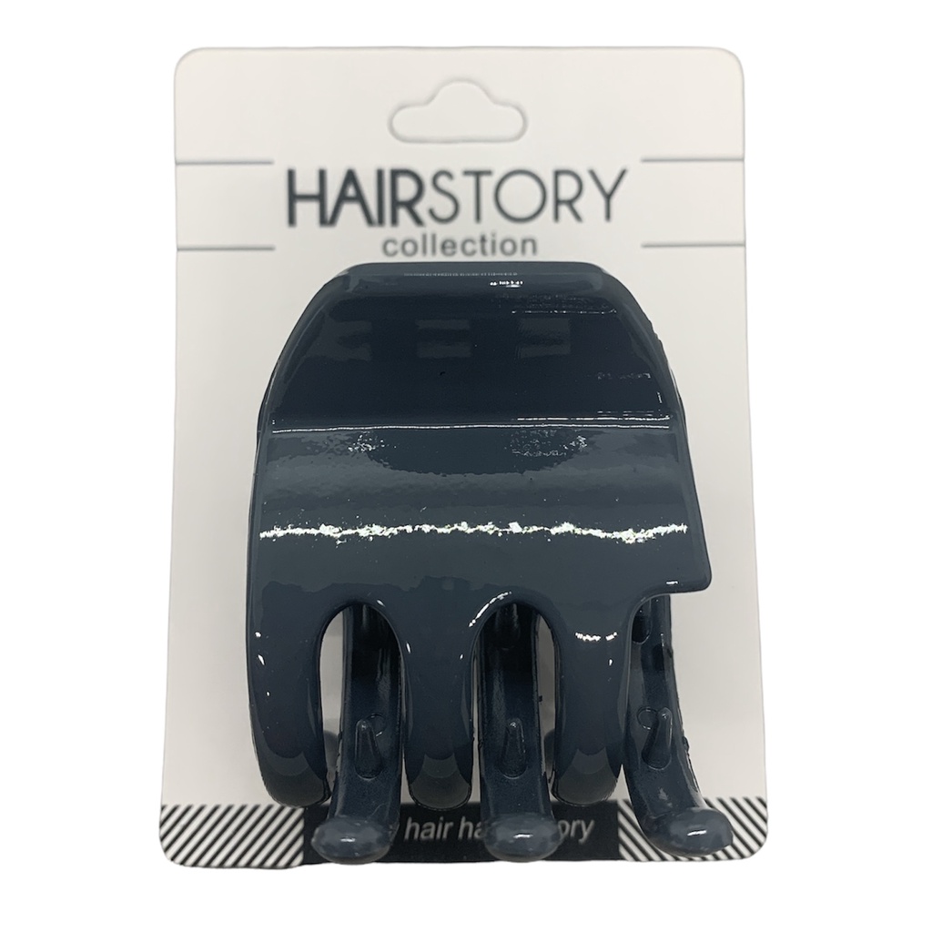 HAIRSTORY D587-D500 Plain Neutral Color Hair Clamp Clip | Shopee ...