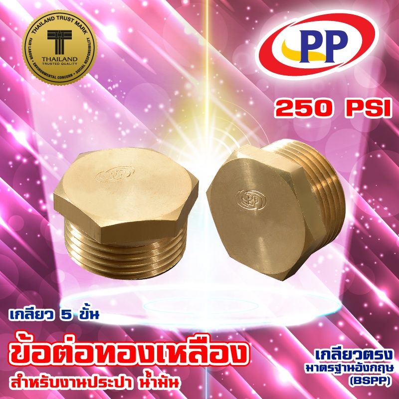 Brass Fitting External Thread Plug (Oil Tap) 5-Step (Plumb/Oil ...