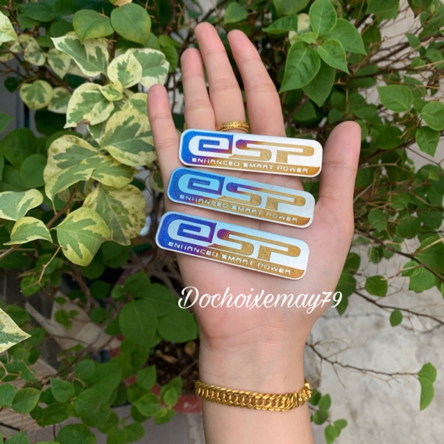 Titanium logo sticker with ESP lettering on the exhaust | Shopee ...