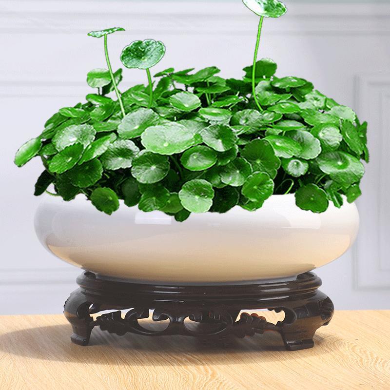 Large-caliber Jingdezhen ceramic flowerpot, large water tank, lotus pot ...