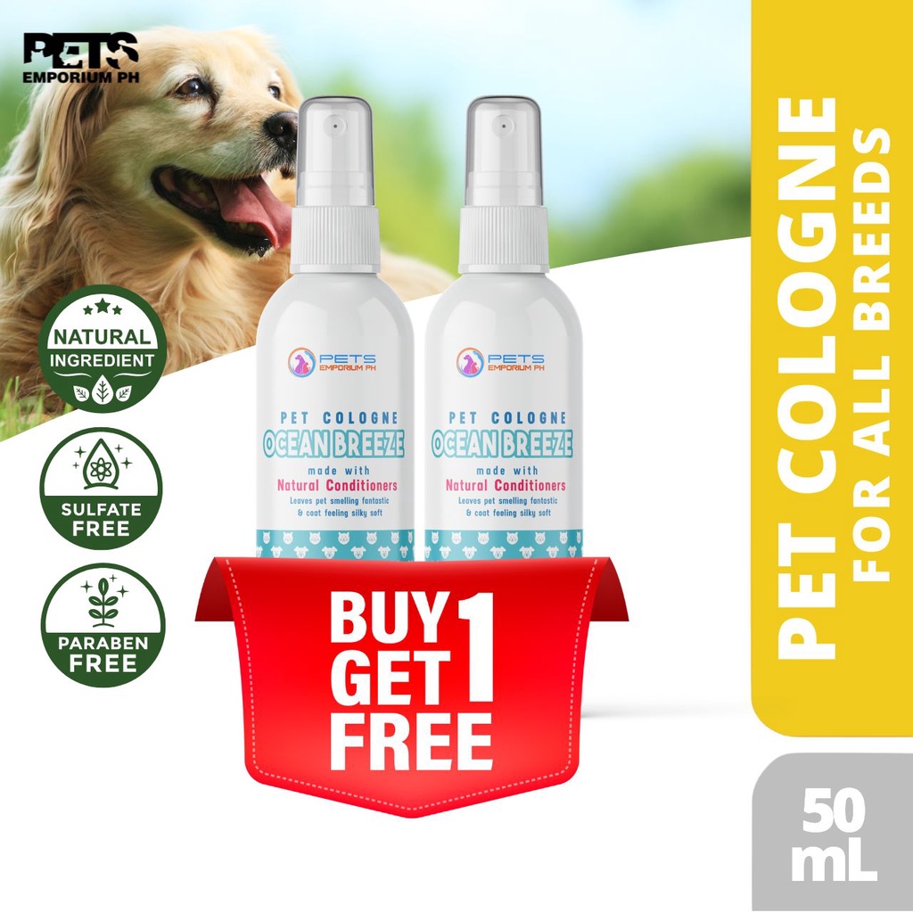 Buy 1 Take 1 Eco Natural Ocean Breeze Kiss Cologne Premium Spray for ...
