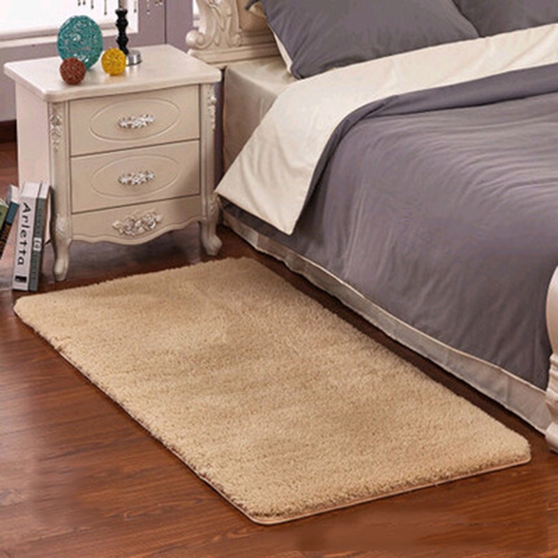 HOMEYOUNG Super Thick Soft Deluxe Arctic Velvet Fluffy Doormat Rugs ...