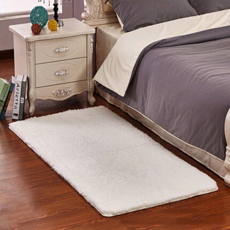 HOMEYOUNG Super Thick Soft Deluxe Arctic Velvet Fluffy Doormat Rugs ...