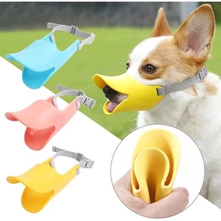 busal - Best Prices and Online Promos - Dec 2025 | Shopee Philippines