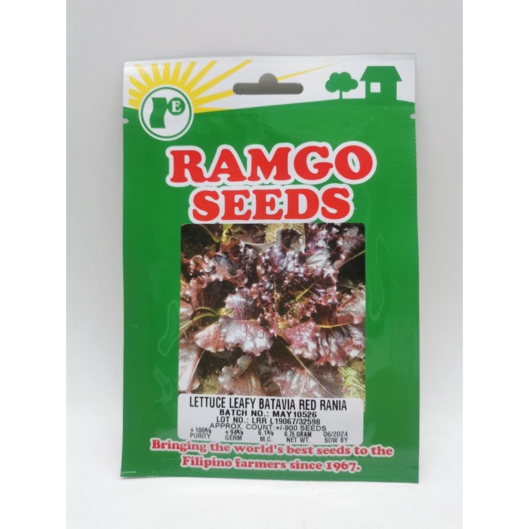 RAMGO LETTUCE LEAFY BATAVIA RED RANIA SEEDS ( ORIGINAL GARDEN PACK ...