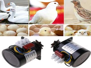 JoJo Egg Turner Motor 220V AC Chicken Egg Turner Rotator Incubator ...