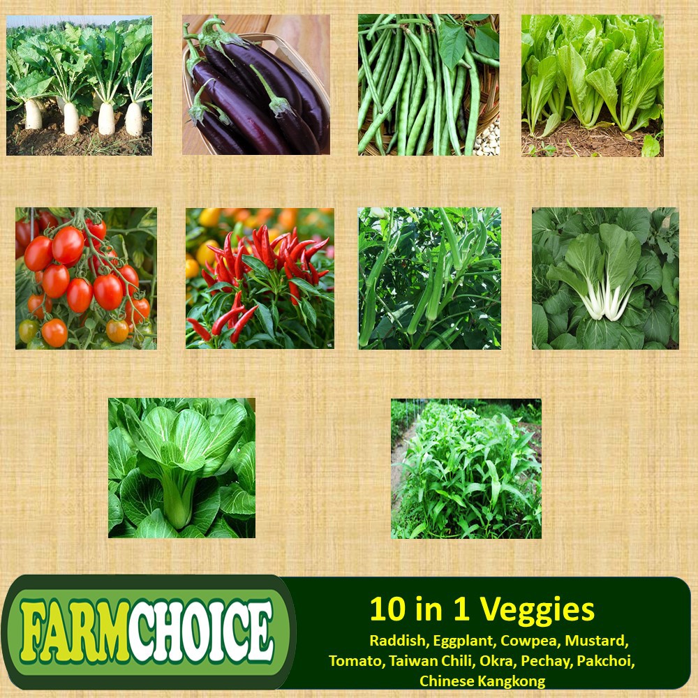 10 in 1 Pack - ASSORTED VEGETABLE SEEDS (1,300 seeds) | Shopee Philippines