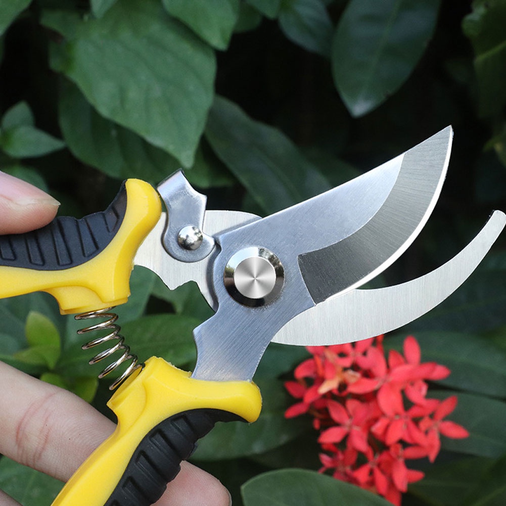 Garden Pruning Shears Plant Cutter Scissors Stainless Plant Scissor ...