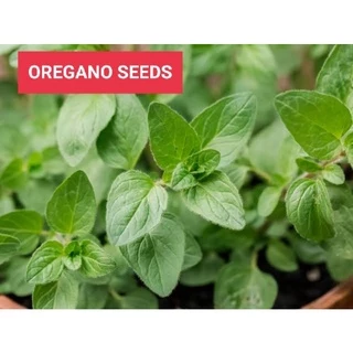 Shop herbal seeds for Sale on Shopee Philippines