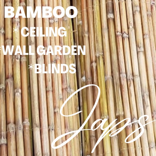 BAMBOO WALL / BAMBOO CEILING / BAMBOO WALL GARDEN / BLINDS BAMBOO ...