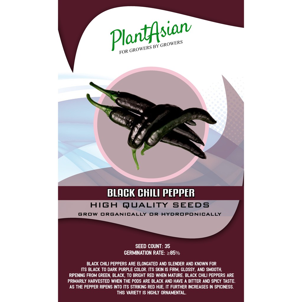 BLACK CHILI PEPPER SEEDS | Shopee Philippines