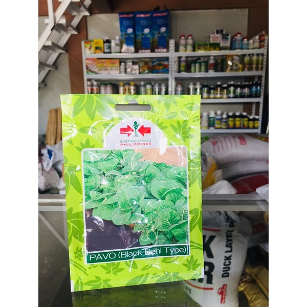 Pavo Black Behi Pechay Seeds | Shopee Philippines