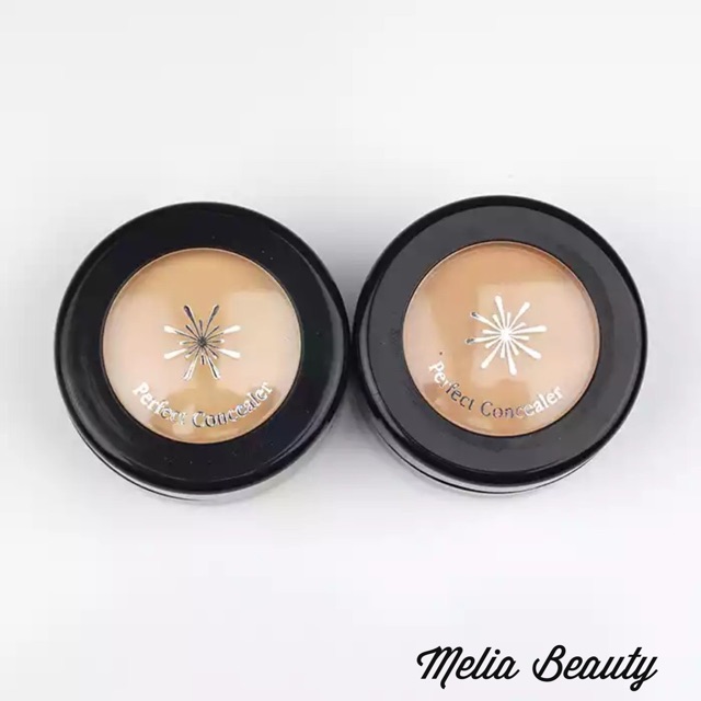 Missha The Style Perfect concealer | Shopee Philippines